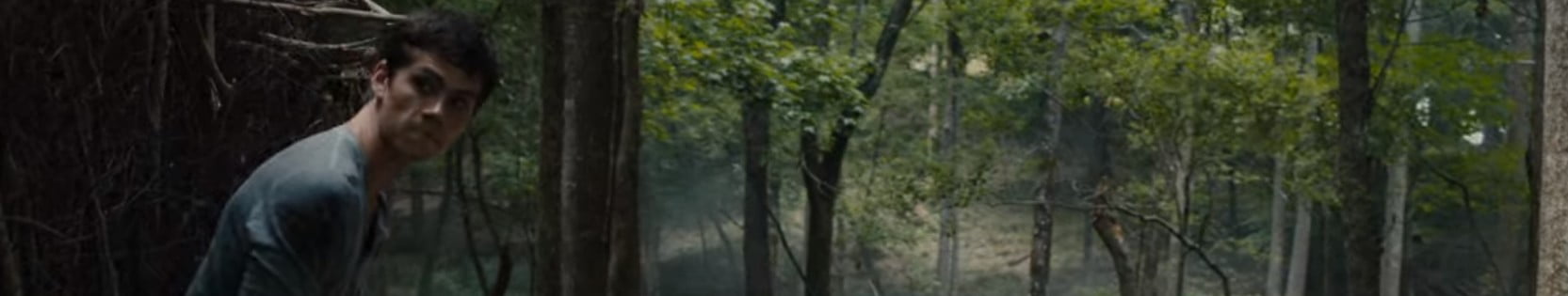 How can I watch The Maze Runner on Netflix? All three movies? - The VPN ...